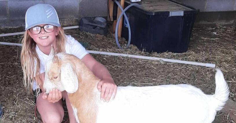 4-H Feature: Ellie Gardner | Local Scenes | postregister.com