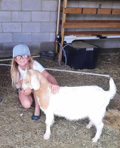 4-H Feature: Ellie Gardner | Local Scenes | postregister.com