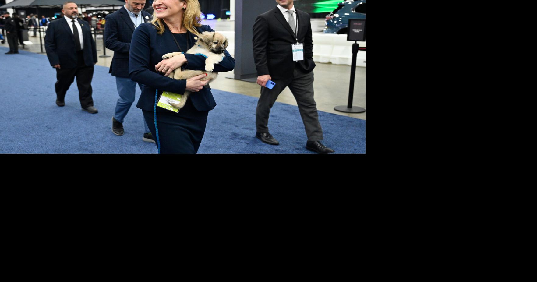 Detroit Auto Show | National News | postregister.com