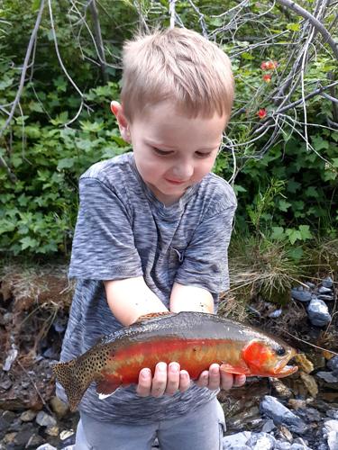Modern, expanded aquaculture lab opens at Mackay school | News ...