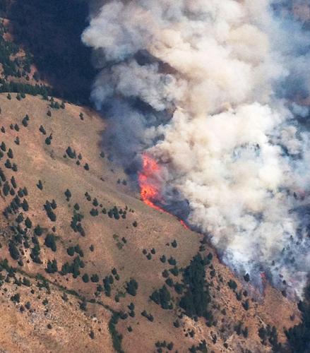 Wapiti Fire destroys cabins at Grandjean | News | postregister.com