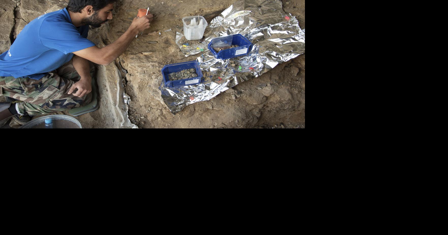 Ancient DNA gives rare snapshot of Neanderthal family ties | Features ...