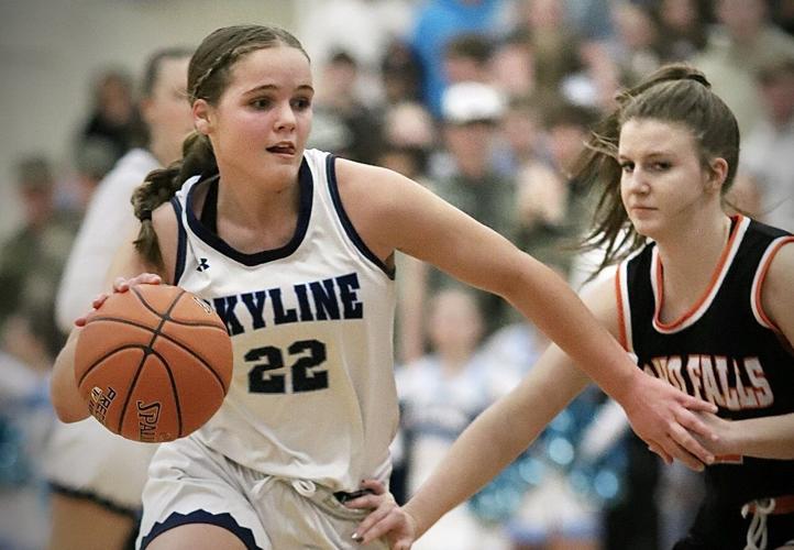 HIGH SCHOOL GIRLS BASKETBALL: All-Area Teams | PR Preps | postregister.com