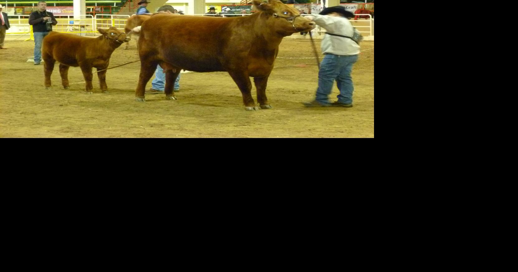 History of the Eastern Idaho State Fair in Blackfoot and a look at ...