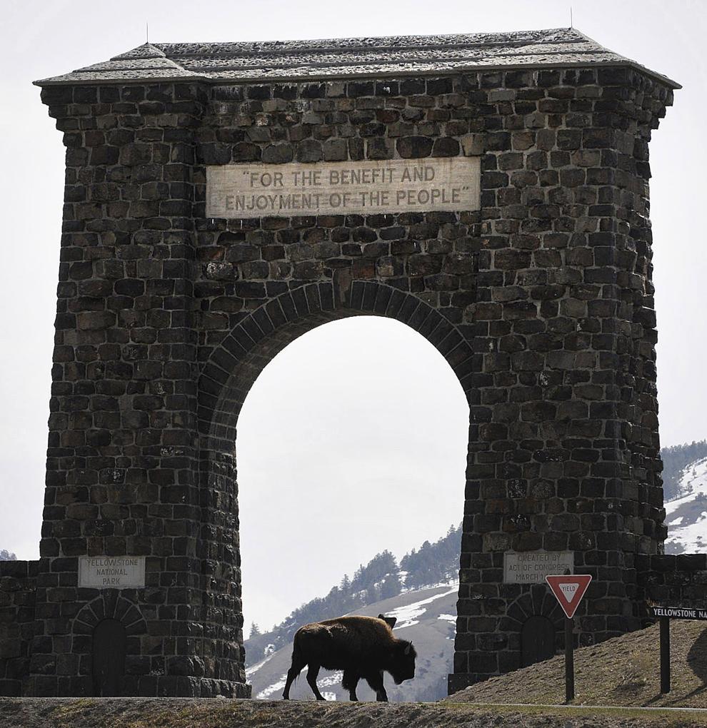 Montana gates to Yellowstone park opening Monday | Local News ...