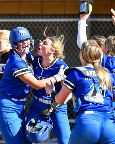 DISTRICT TOURNAMENTS: Tickets punched, but some state baseball ...