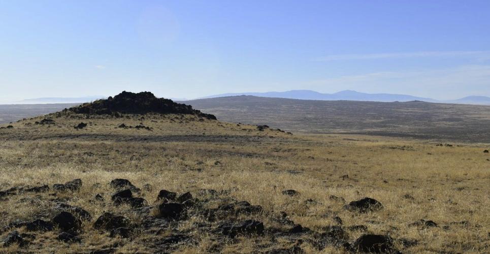 ‘Don’t do it’: Idaho congressional delegation introduces bill to stop ...