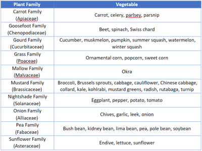 In the Garden: Crop rotations | Columnists | postregister.com
