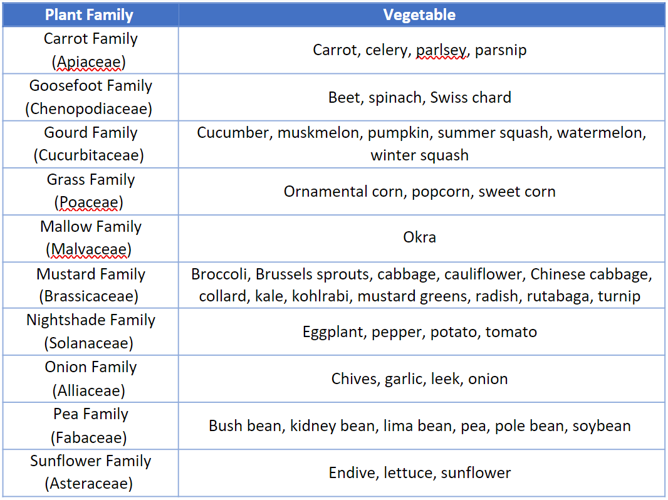 In the Garden: Crop rotations | Columnists | postregister.com