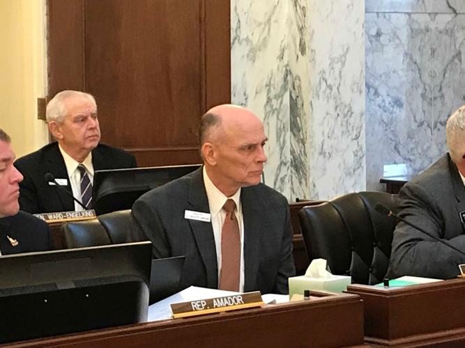 Senate State Affairs Committee delays action on bill targeting ...