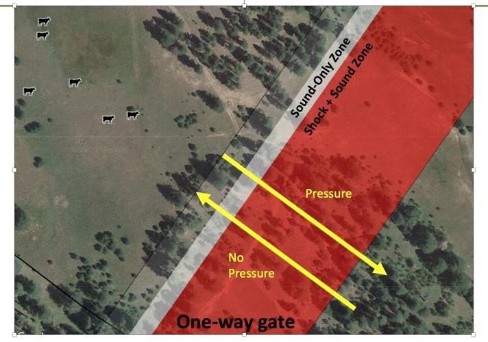 New technology, the virtual fence keeps cattle where you want them ...