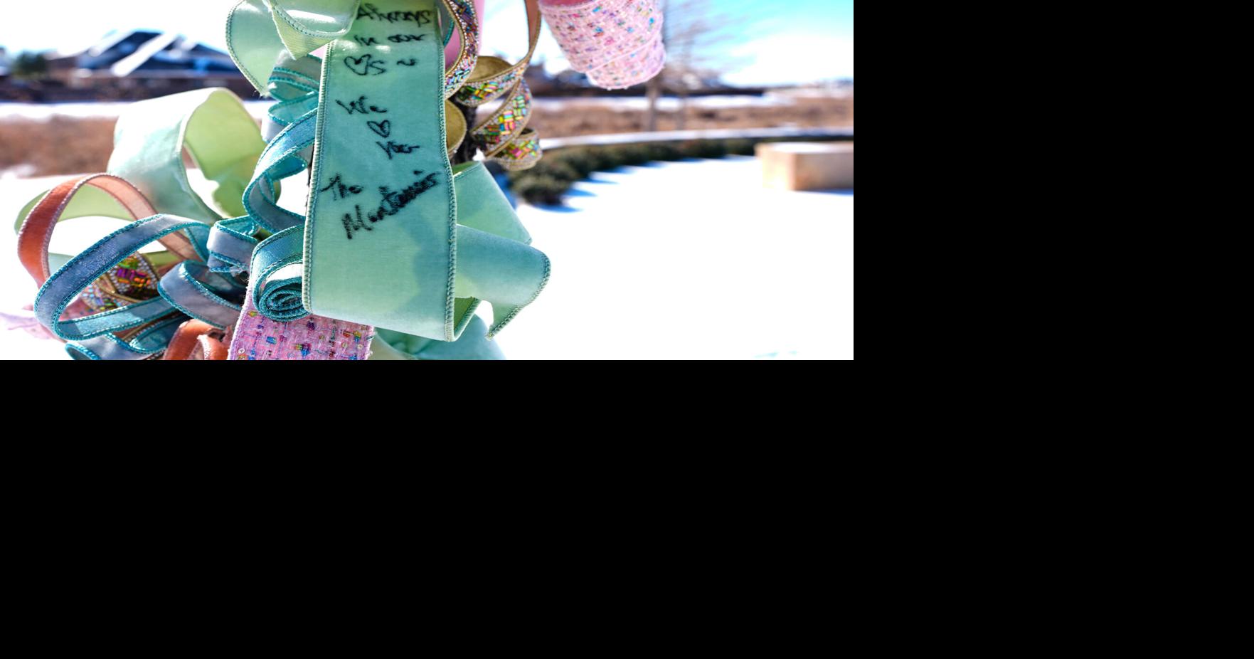 Winter Weather Texas | National News | postregister.com