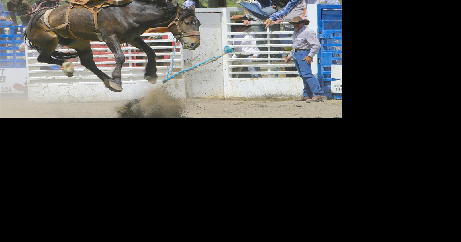 'IDAHO'S WILDEST': Mackay Rodeo earns prestigious PRCA approval | Farm ...