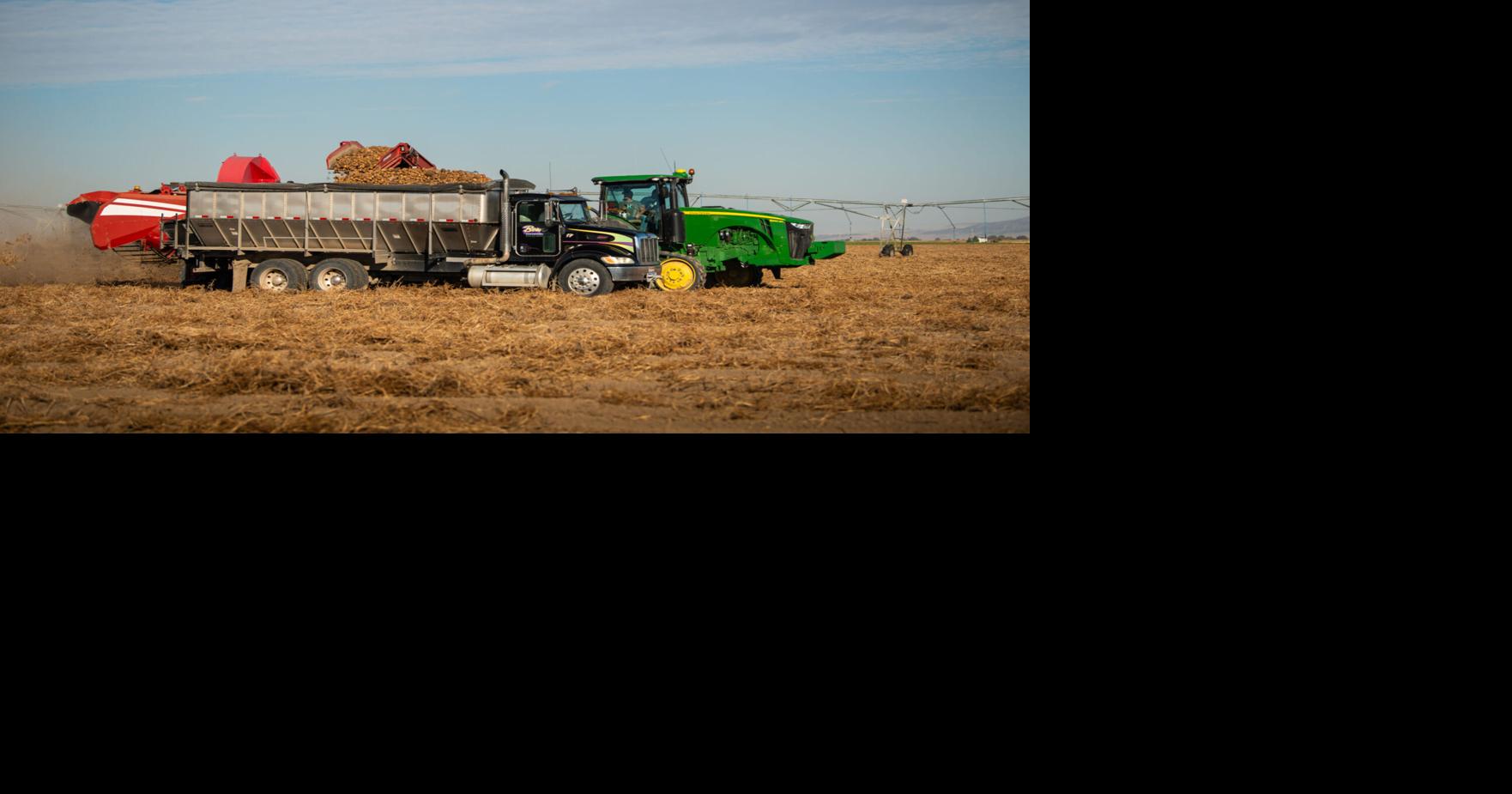 Famous…Oregon potatoes? Nah. Idaho stats show which state reigns spud ...