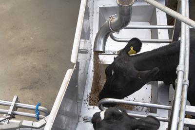 Dairymaster serves the dairy industry worldwide | Western Life ...