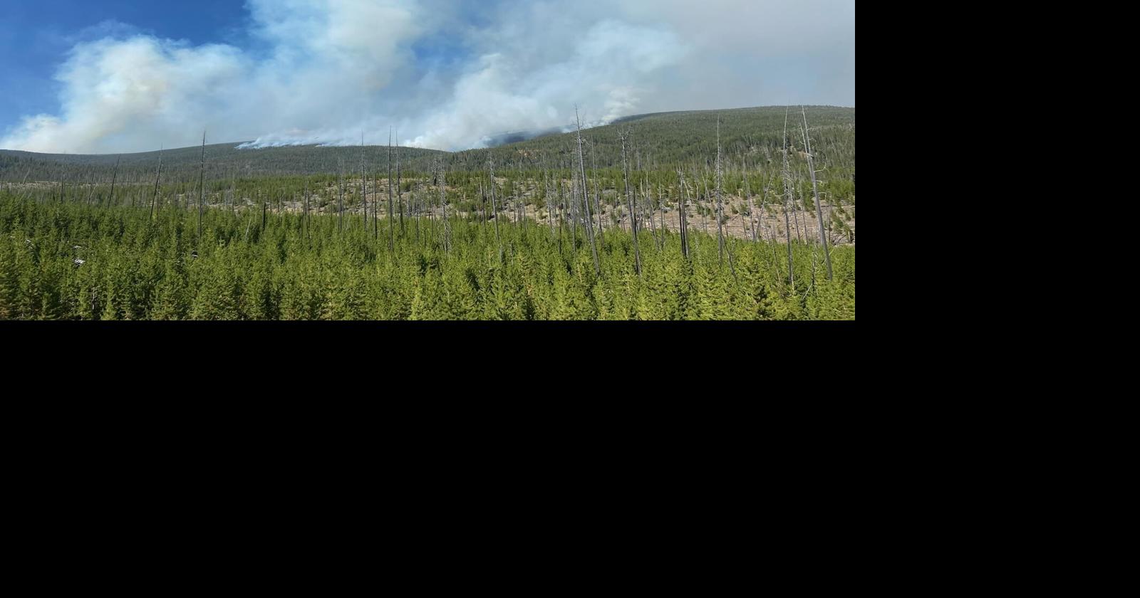 Moose fire surpasses 100,000 acres; wildfire near Henrys Lake spotted ...
