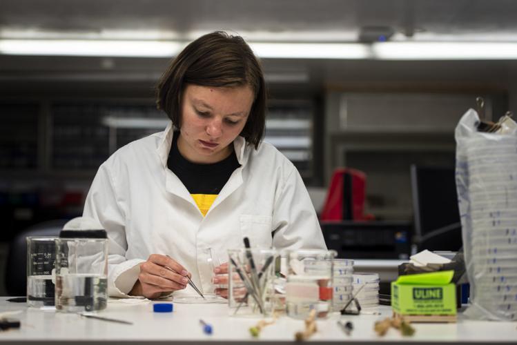 Idaho agriculture looks to Parma for crop research, soil testing ...
