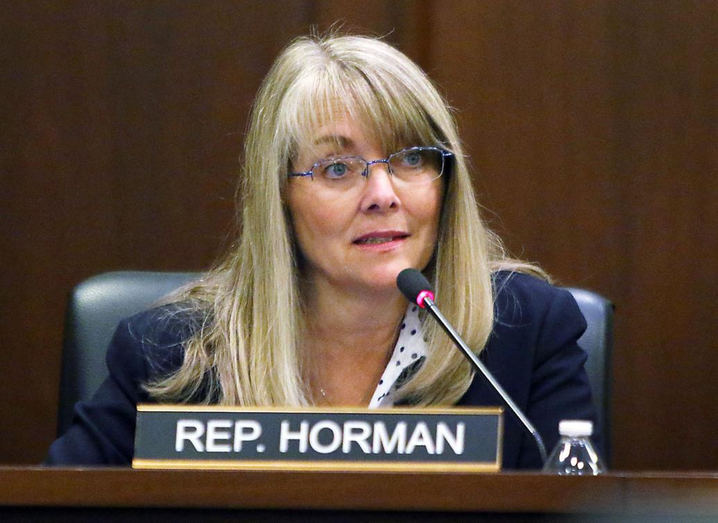 Rep. Wendy Horman embraces new role as co-chair of the Idaho ...