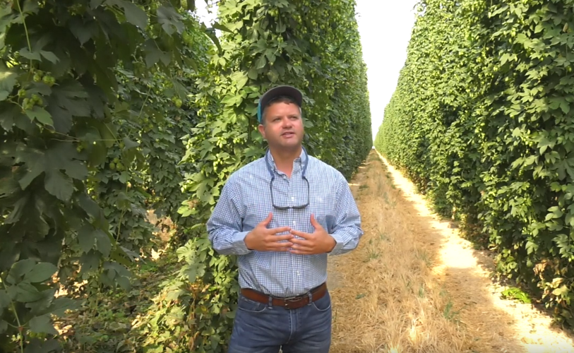 Farming green: Parma hops farmers using 100% renewable energy through ...