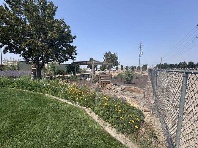 U of I’s Parma Research and Extension Center adds pollinator garden ...