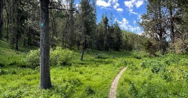 Public comment opens for Kelly Canyon mountain bike trails system ...