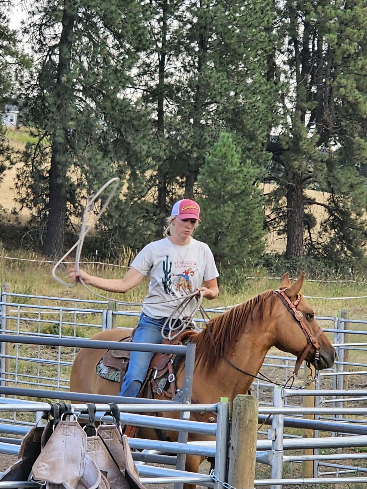 Raring to Rodeo: New U of I rodeo coach seeks to elevate club’s profile ...