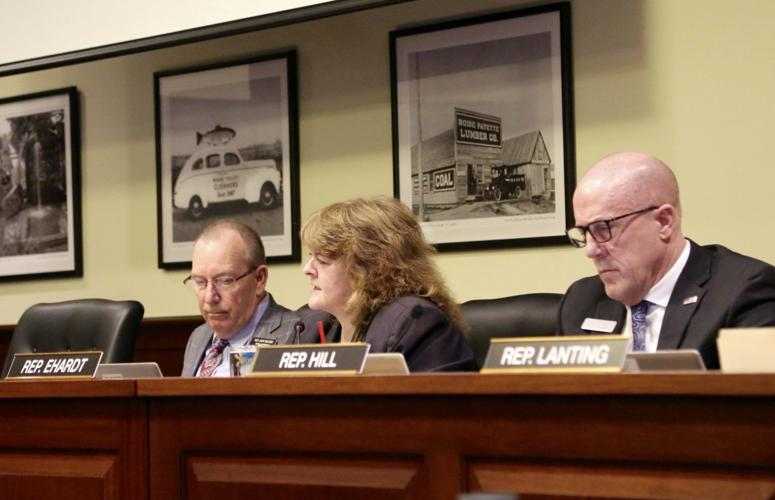 After heated debate, two library bills halt in House committee ...
