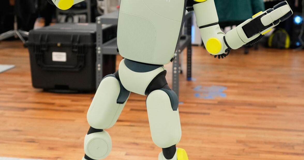 Friendly Humanoid | National News | postregister.com