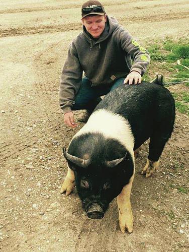 Rigby youth values his reputation as hog farmer | | postregister.com