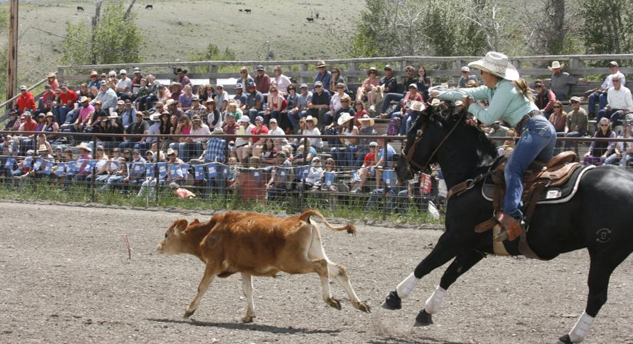 Cool temps, high winds don't dampen Mackay Rodeo fun | News ...