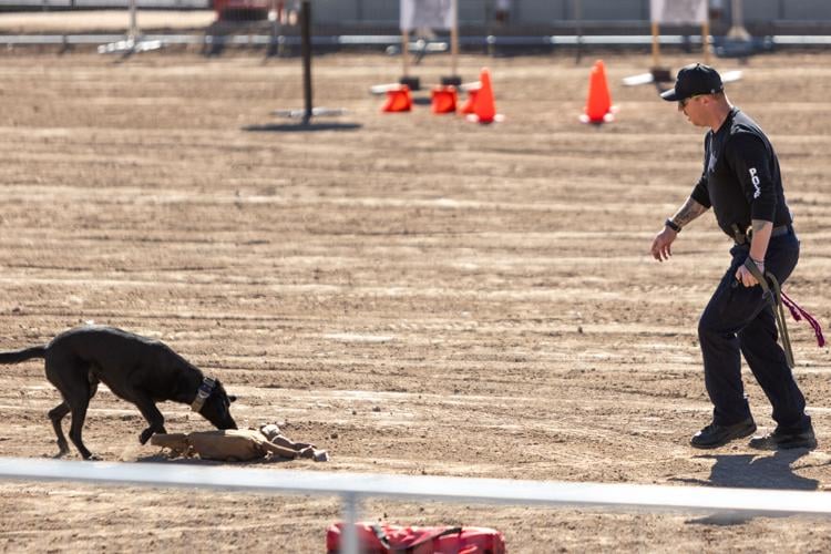 K9 officers from throughout Idaho participate in K9 skills competition ...