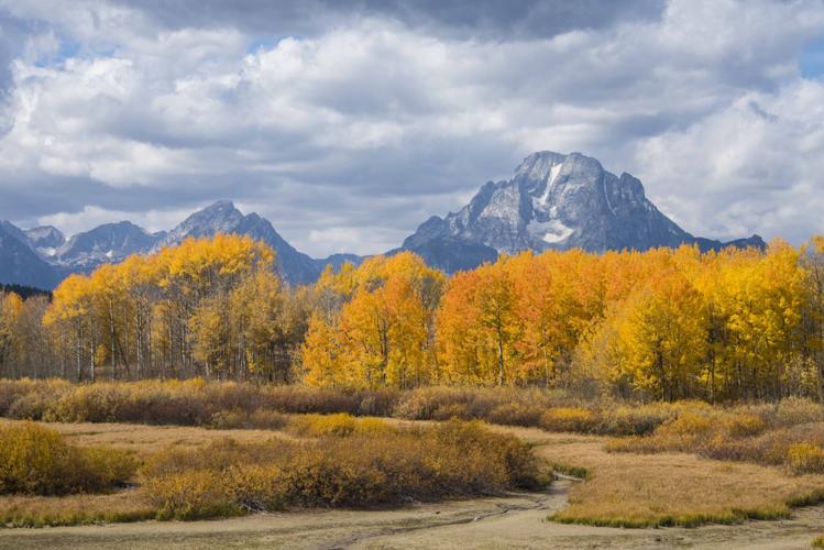 Predicting fall colors takes science and luck | Outdoors | postregister.com