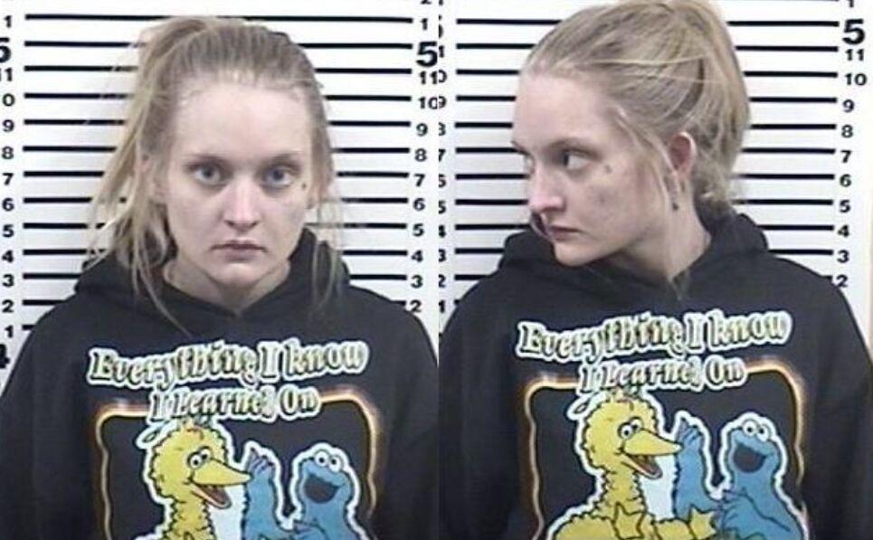 Idaho Falls woman arrested, reportedly drove head-on into police car ...