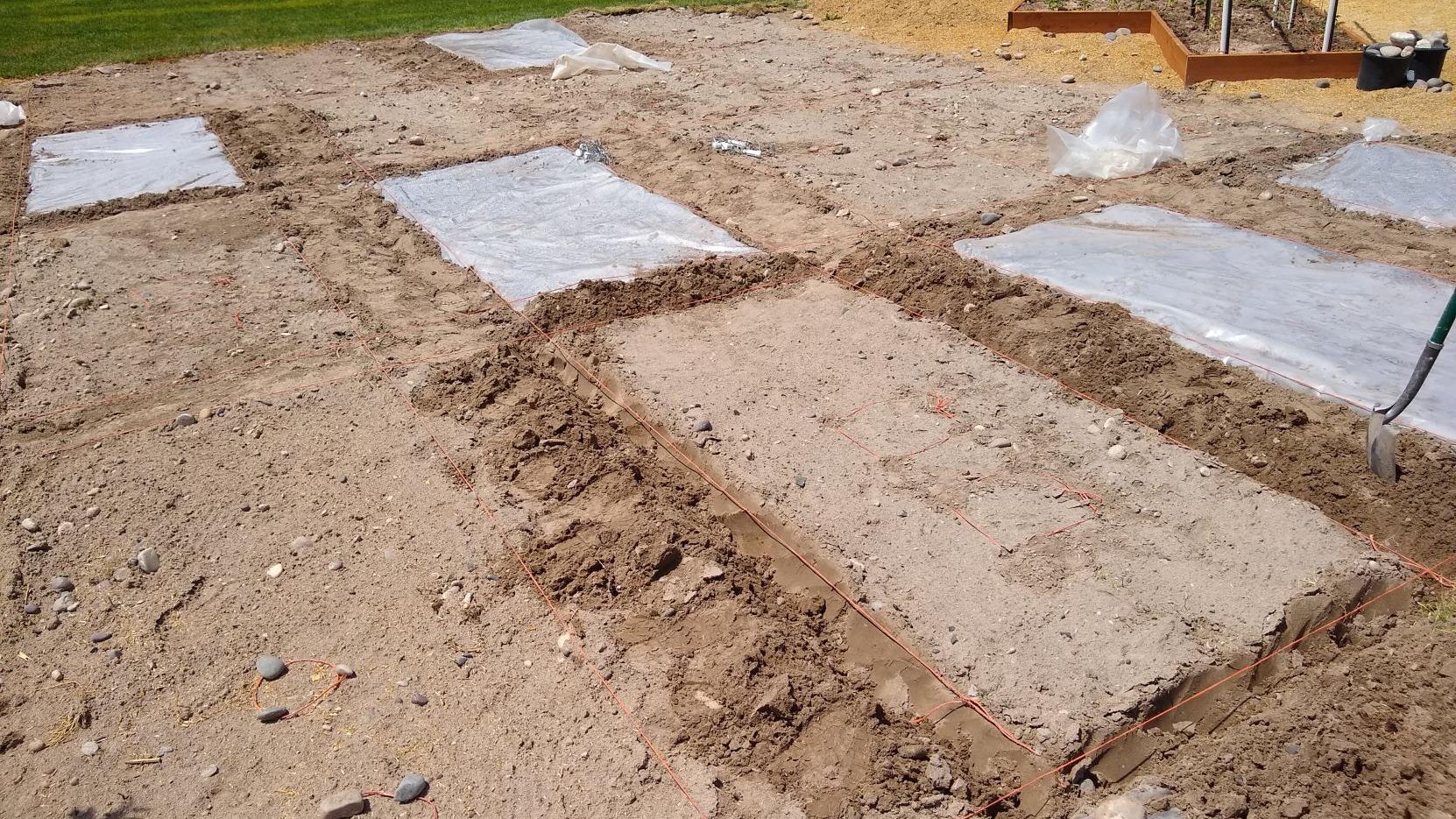 does solarization kill weeds