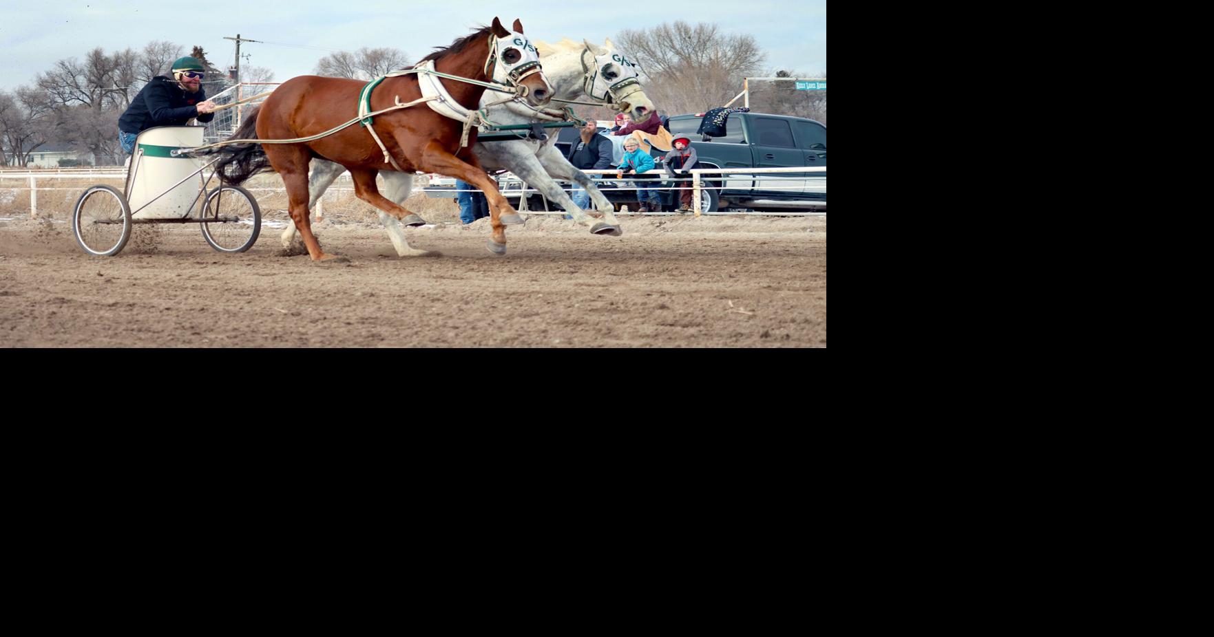 Unofficial chariot races held in Rigby | News | postregister.com
