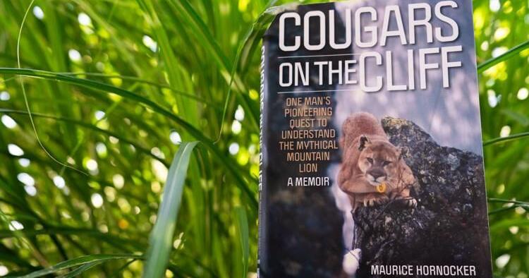The Cougar Whisperer: In a new book, wildlife researcher Maurice ...