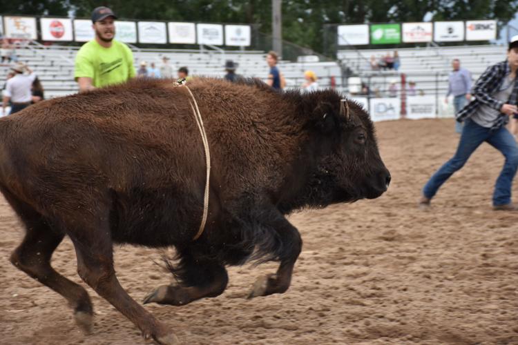 War Bonnet Round Up kicks off with free events | Local News ...