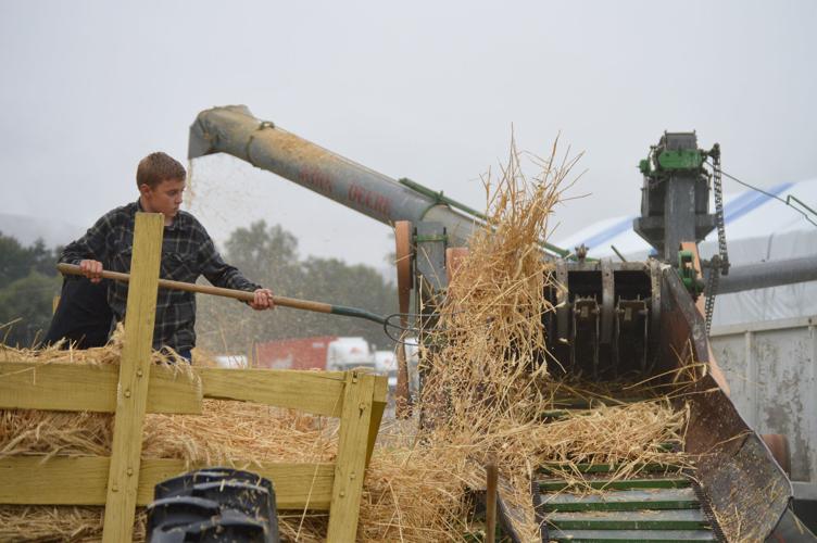 Antique farm equipment on display at the annual Threshing Bee ...