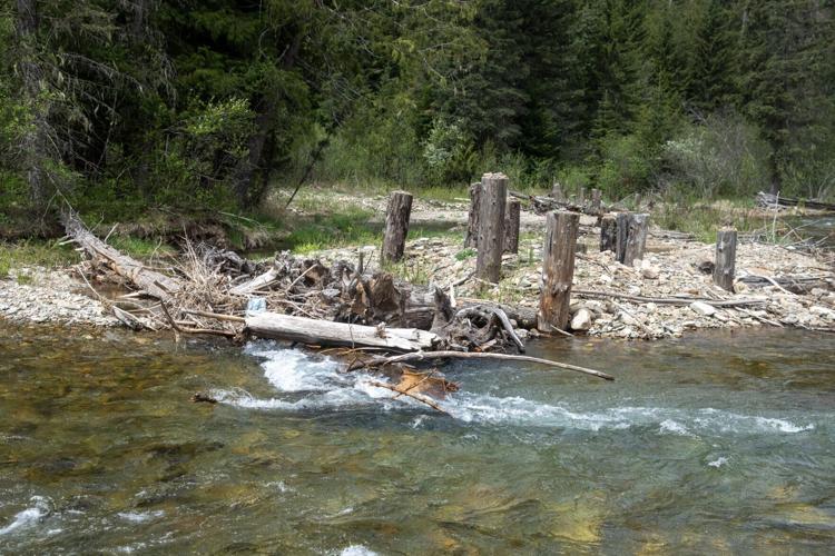 Creek repair: North Idaho conservationists work to fix Prichard Creek ...