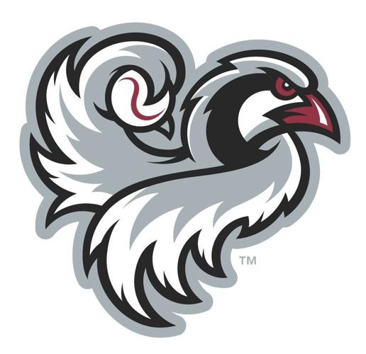 Chukars struggle against Missoula | Sports | postregister.com