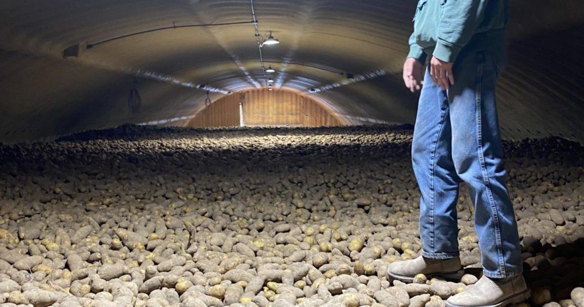 From the classroom to the spud cellar: Idaho's harvest break teaches ...