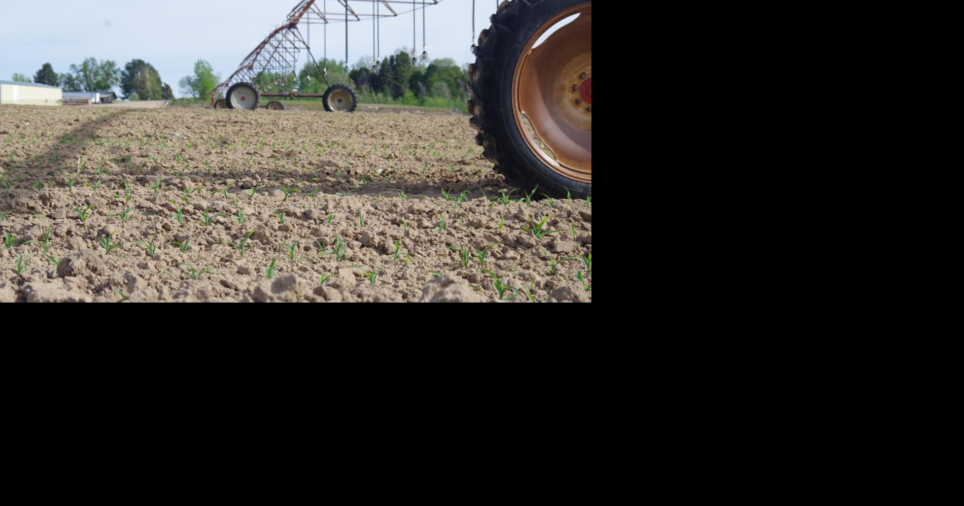 What a difference a year makes: Irrigation outlook much improved ...