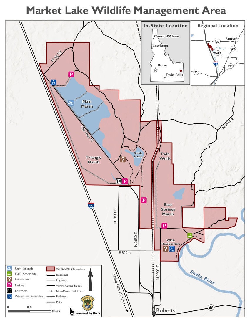 Connelly: Wildlife viewing at Market and Mud Lake WMAs | News ...