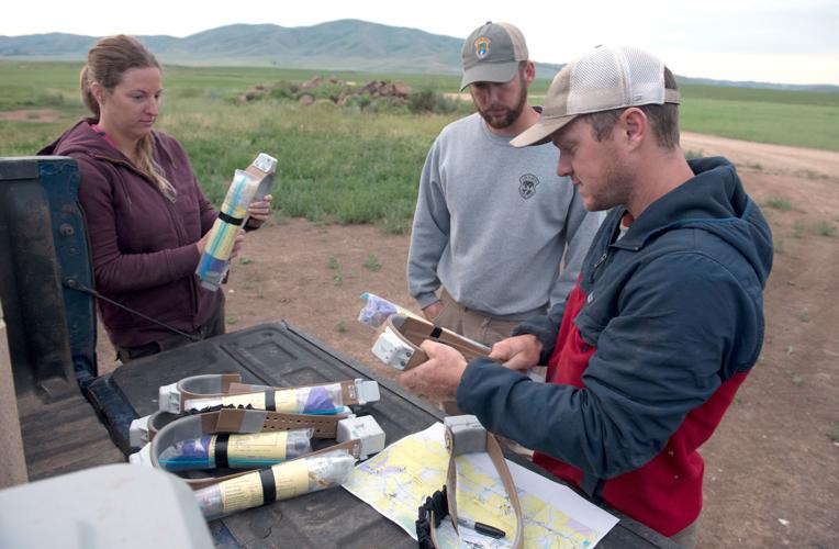 IDFG look for ways to reduce crop depredation | Regional | postregister.com