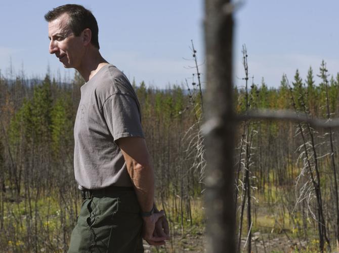 A tale of two fires: Revisiting the burn scars of 1988 and 2016 in ...