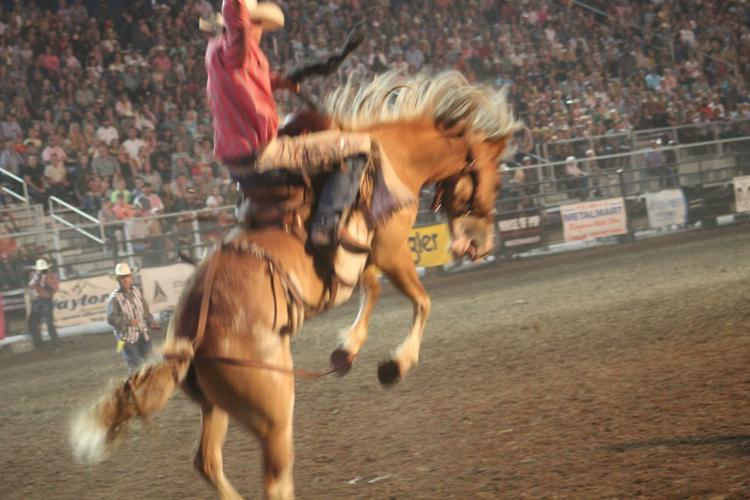 Famous Preston Night Rodeo features Rawley Johnson | Sports ...