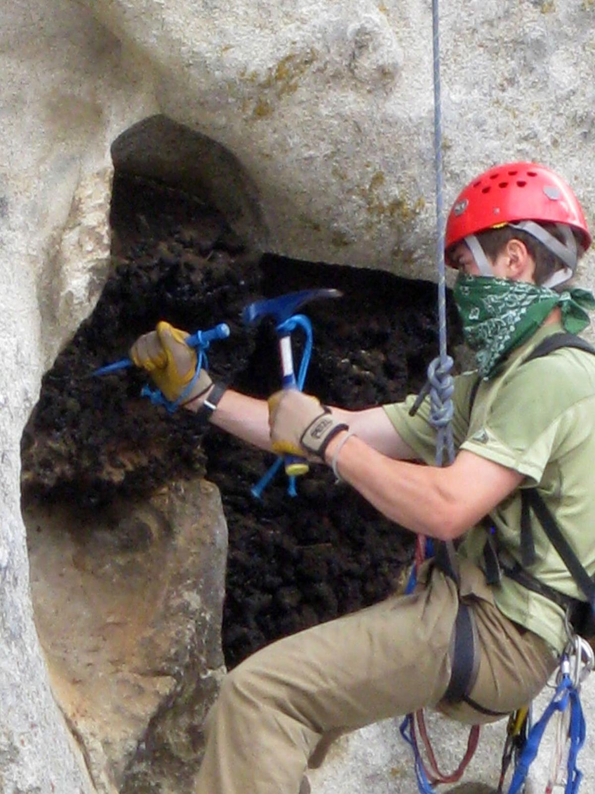 Tapping into the pack rat time machine: Rodents at City of Rocks leave ...