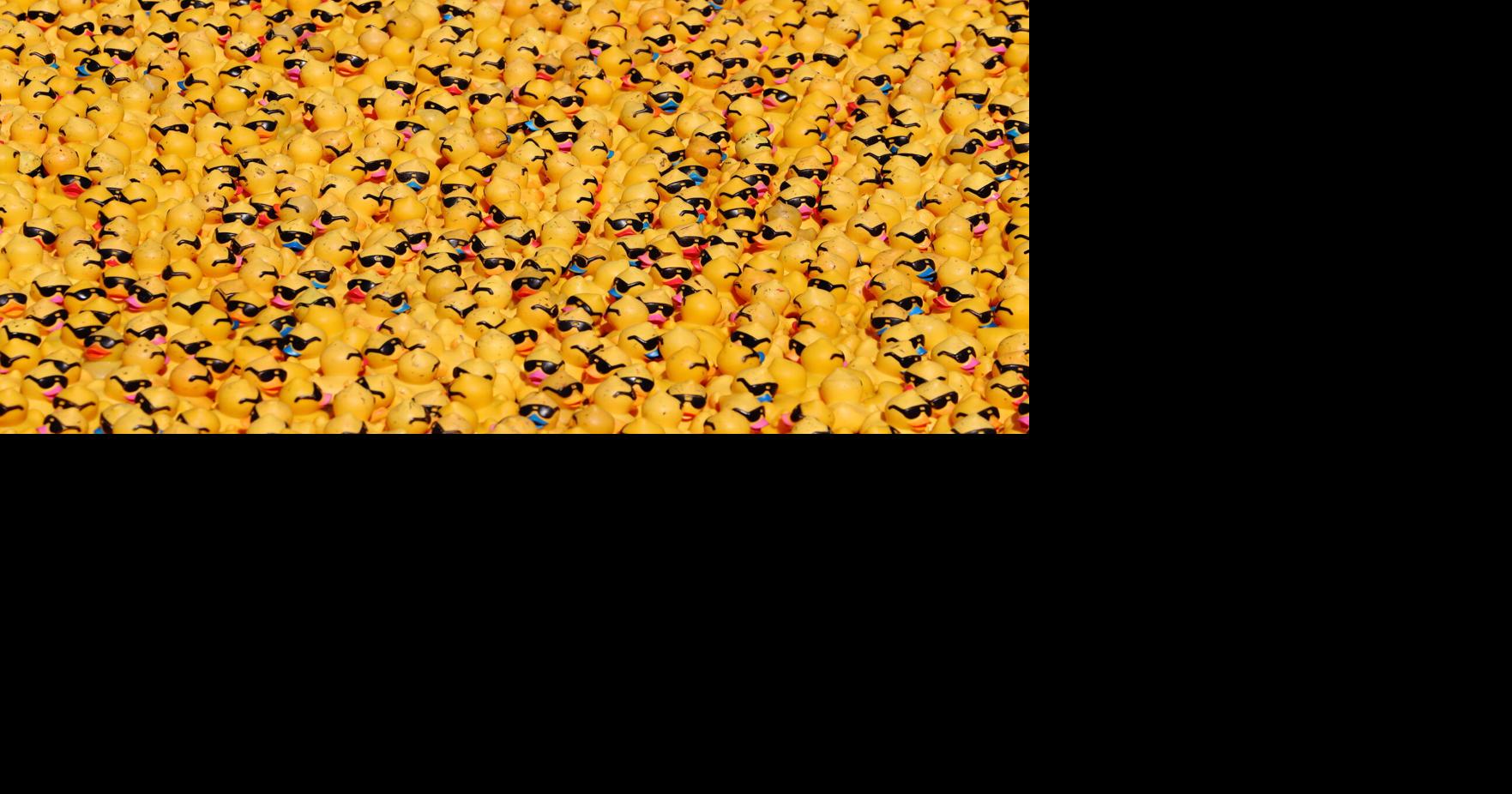 Great Snake River Greenbelt Duck Race sells out on ducks | Local News ...