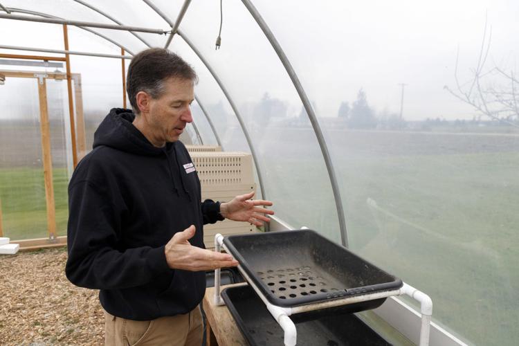 Chestnut farm carries on 30-year-old legacy | Regional | postregister.com