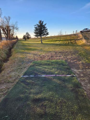 Summer on the Course: Disc golf style | Sports | postregister.com